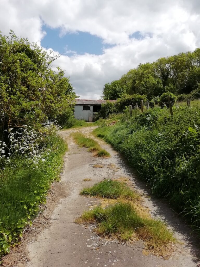 Projects - Weymouth Area Development Trust CIC